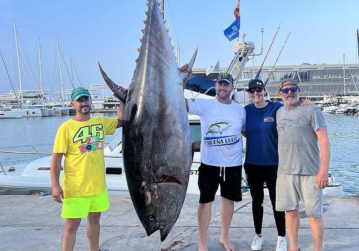 Capturan un atún rojo de 331 kilos a 10 millas de Dénia | Las Provincias